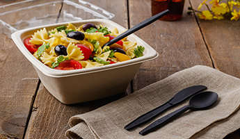 Premium Plastic Tableware for catering and food service industries