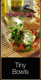 Premium Plastic Tableware for catering and food service industries